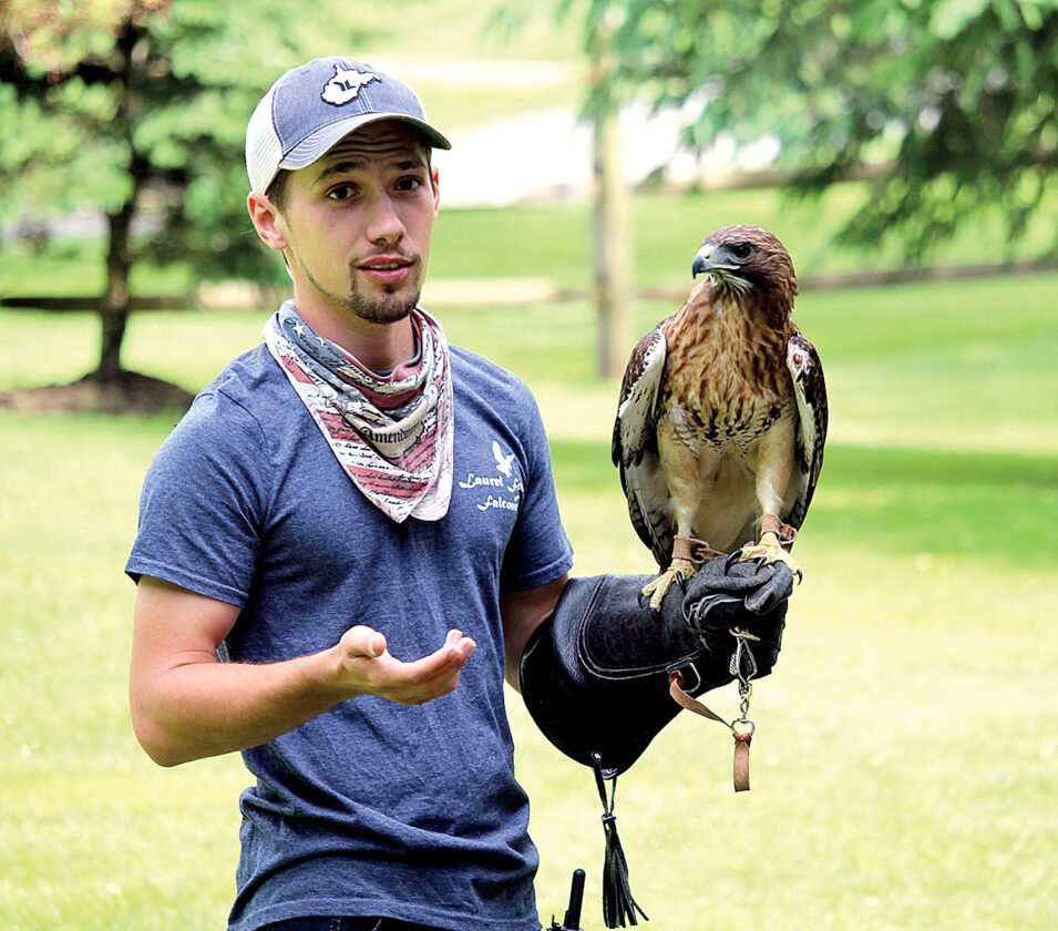 Master Naturalists to present ‘Birds of Prey’ program to public | News ...